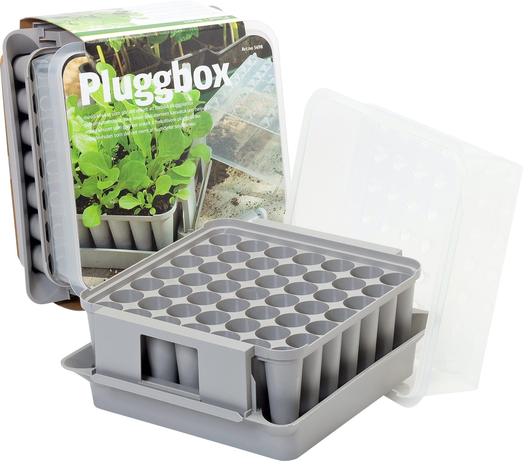 Seed starting in a new plant plug box - beardy's blog