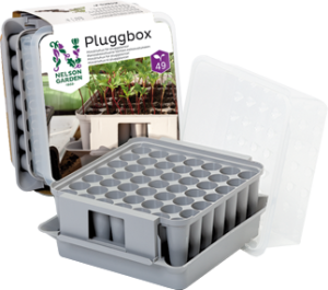 Seed starting in a new plant plug box - beardy's blog